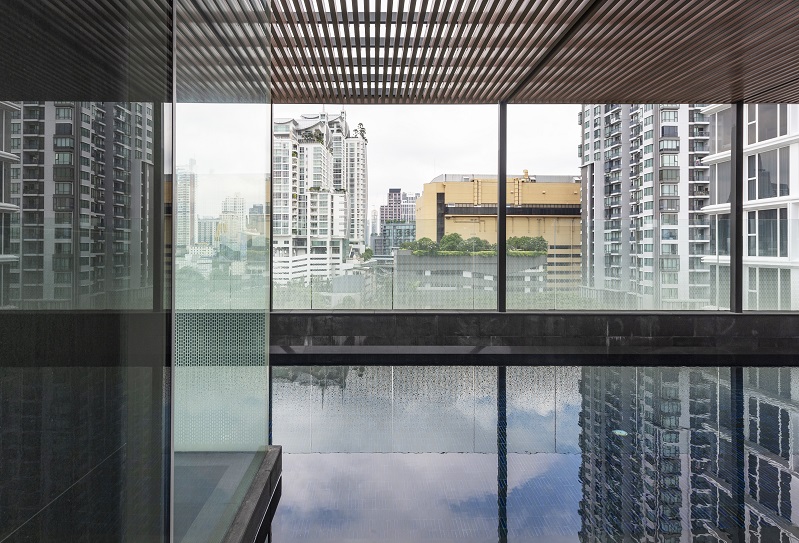 SIAMESE EXCLUSIVE 42 - Tykglass